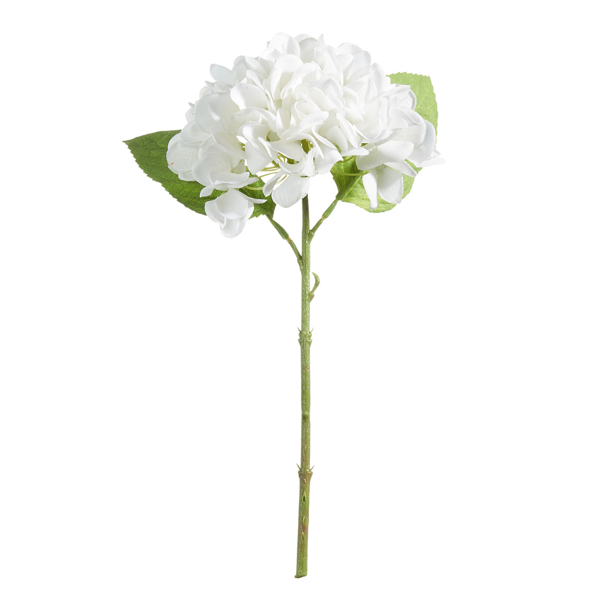 White Hydrangea Stem – Simone & Ivy