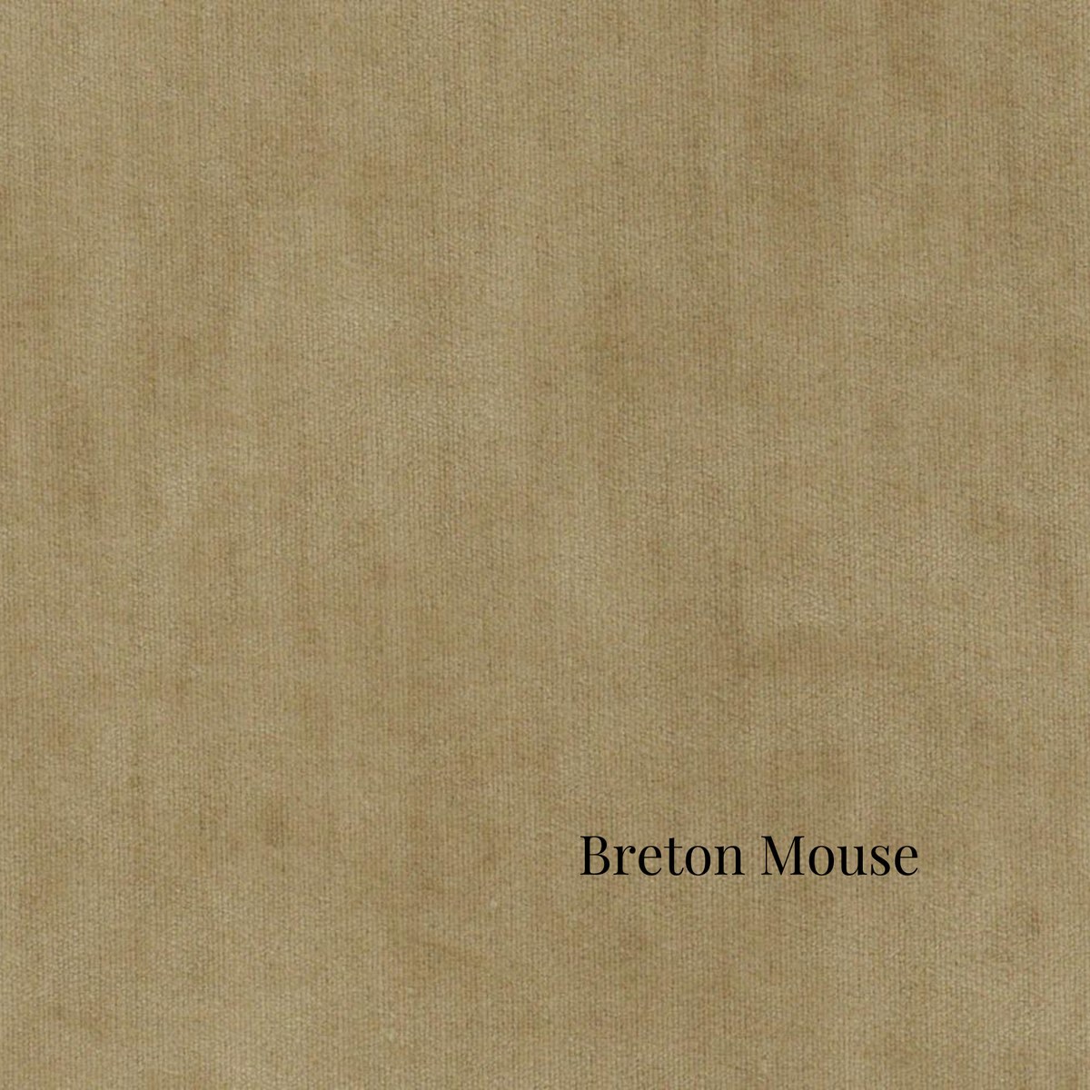 Baillie Collection – Simone & Ivy